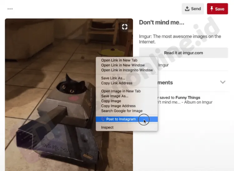 6 Cara Membuat Konten Viral di Instagram Menggunakan Virol